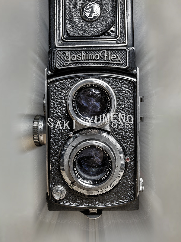 カメラ沼「クラシックカメラ始めました・Yashima Flex」(2): 猫と鉄と町なか探険(赤獅子企画‐神羅工房)